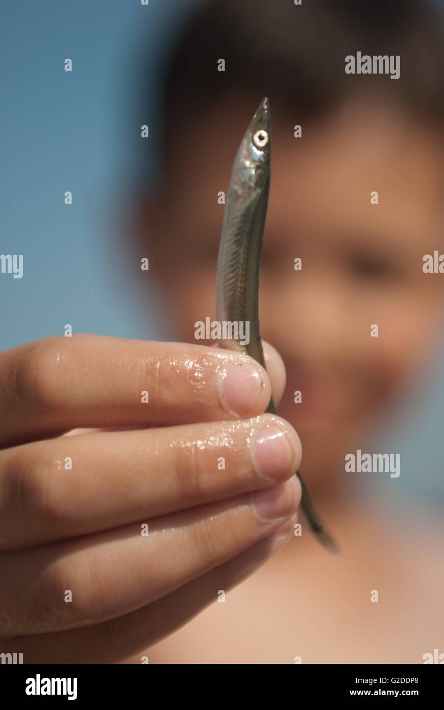 Boy Holding Small Fish Stock Photo - Alamy