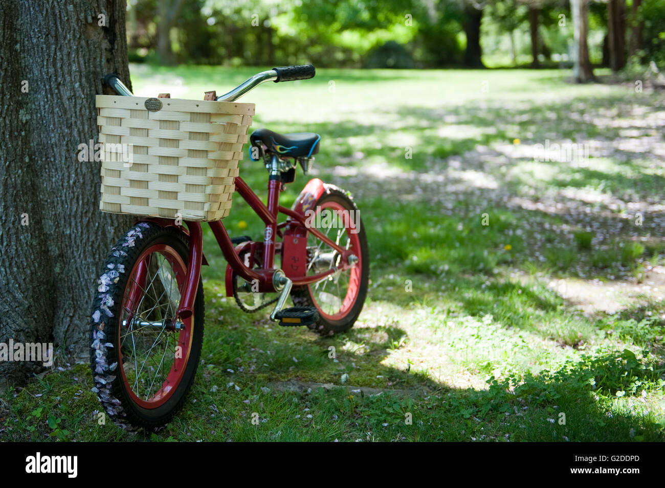 Red Bicycle with Basket Leaning Against Tree Stock Photo - Alamy