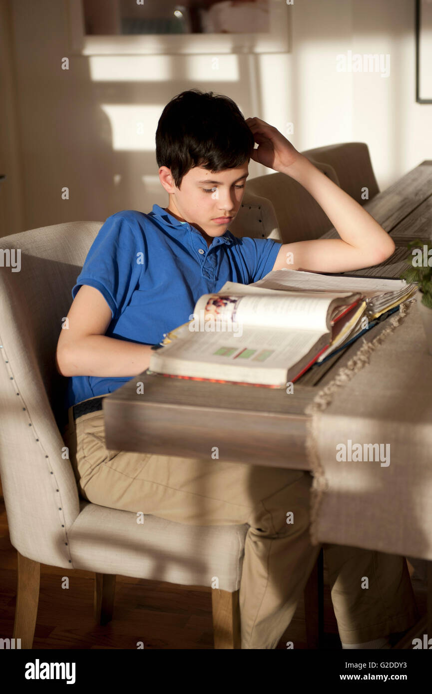 Boy Doing Homework Stock Photo - Alamy