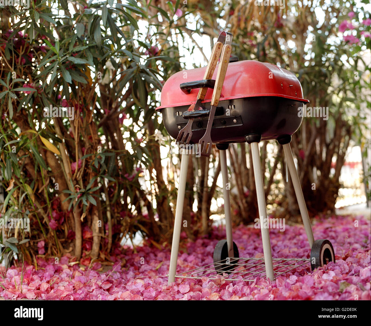 Barbecue Grill With Pink Flower Petals on Ground Stock Photo - Alamy
