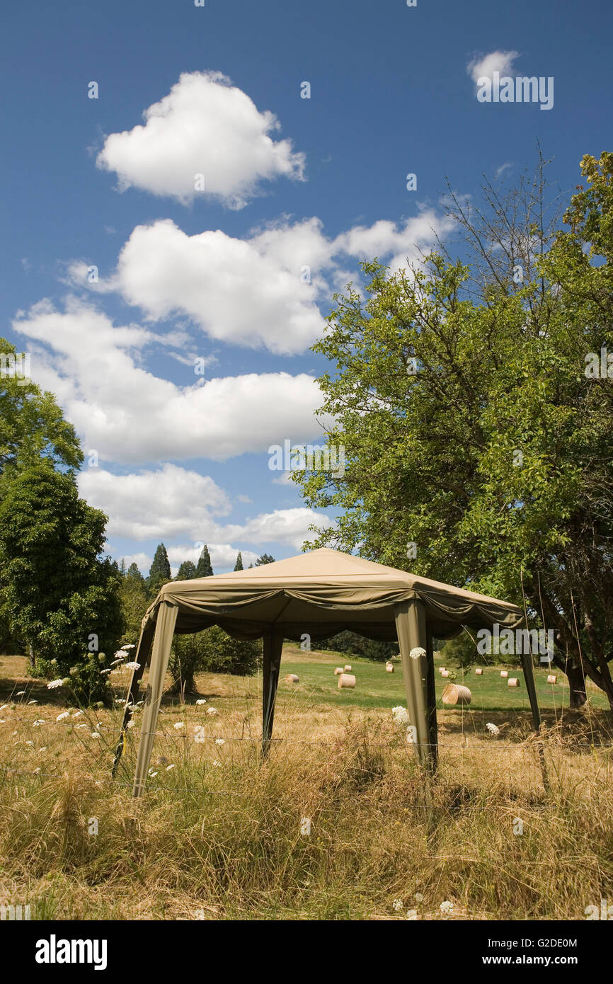 Tent in Field Stock Photo - Alamy