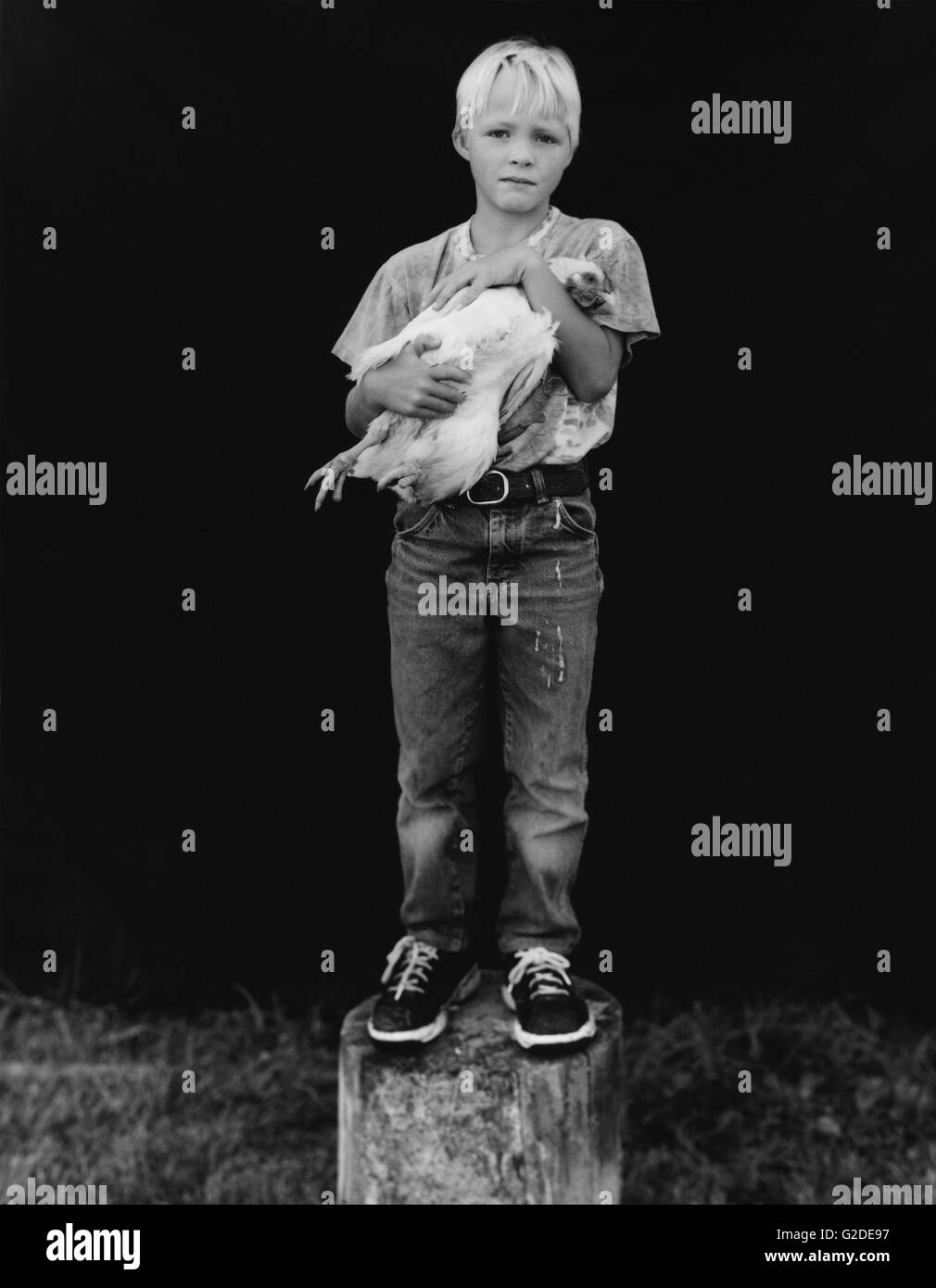 Boy and Chicken Stock Photo - Alamy