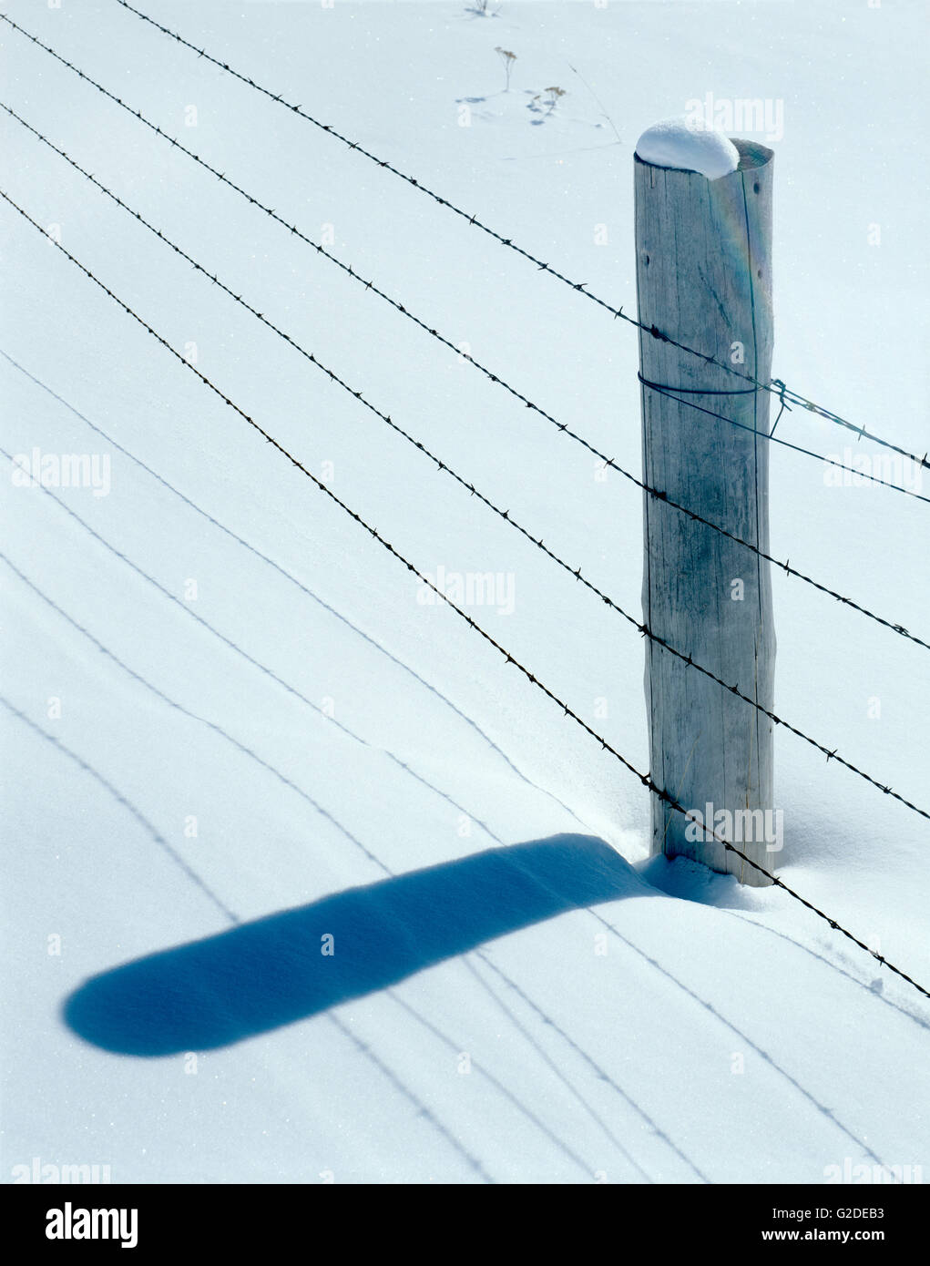 Barbed wire and fence post hi-res stock photography and images - Alamy