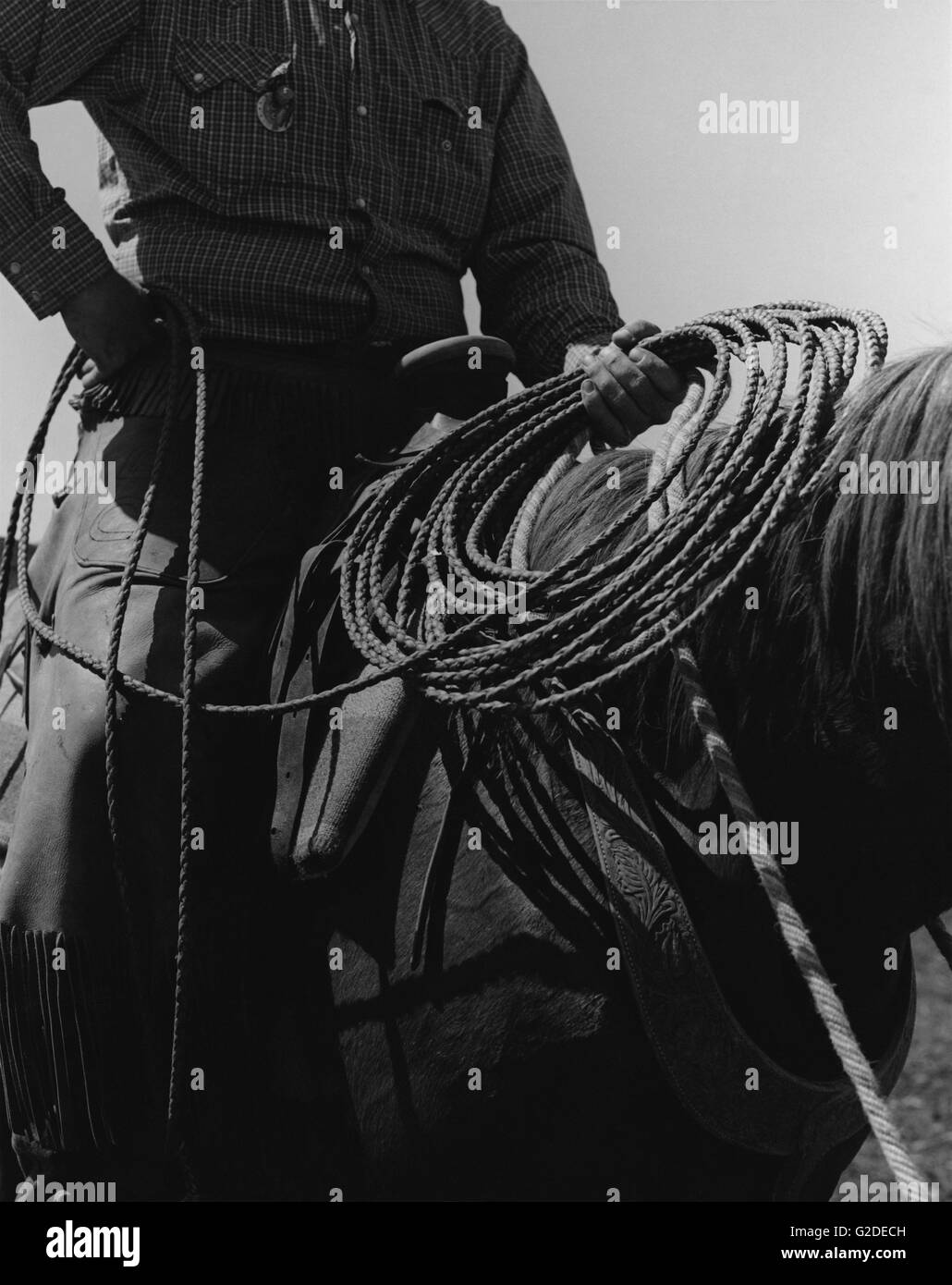 Cowboy with Rope Stock Photo - Alamy
