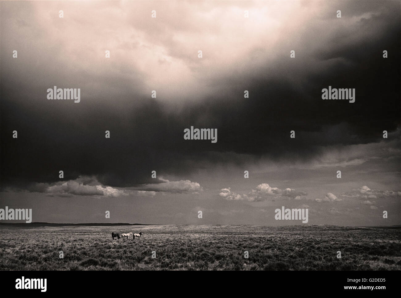 Expansive landscape wide fields hi-res stock photography and images - Alamy