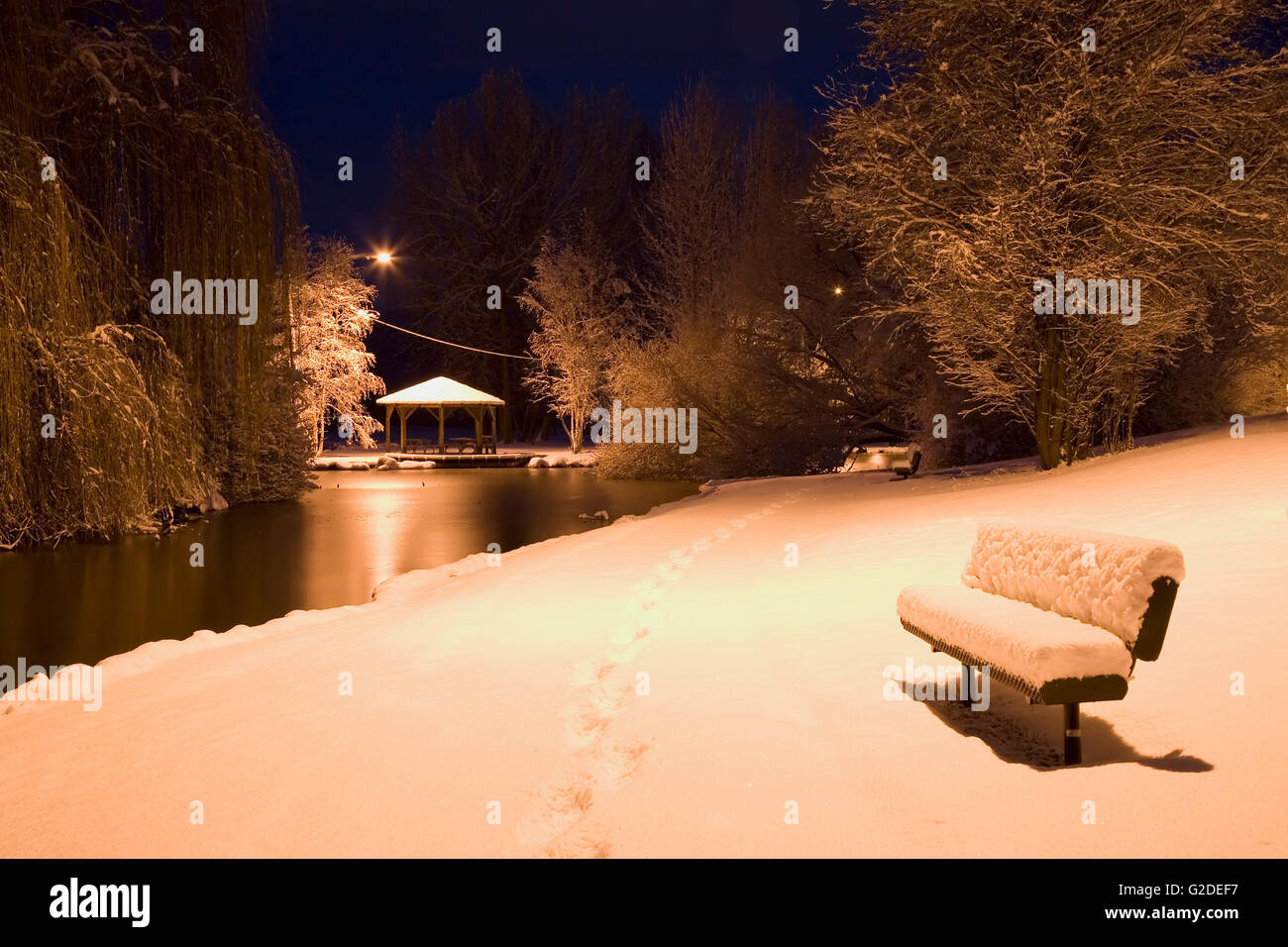 Trees covered snow benches hi-res stock photography and images - Alamy