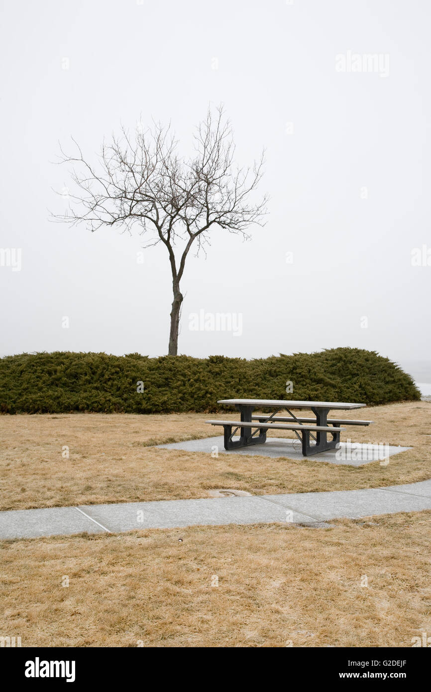Picnic Table by Bare Tree in Park Stock Photo - Alamy