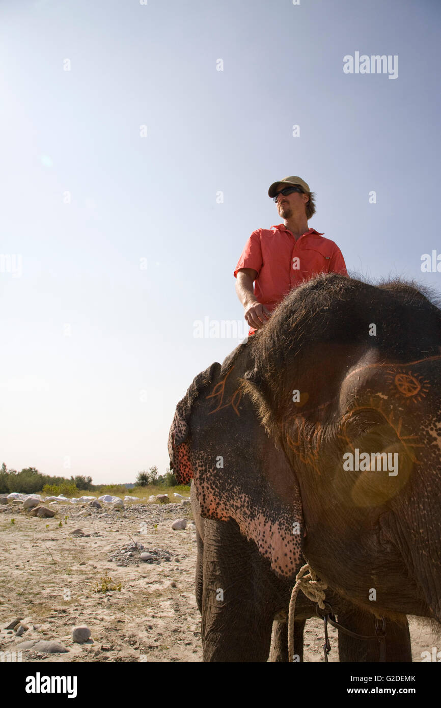 Elephants india journey hi-res stock photography and images - Alamy