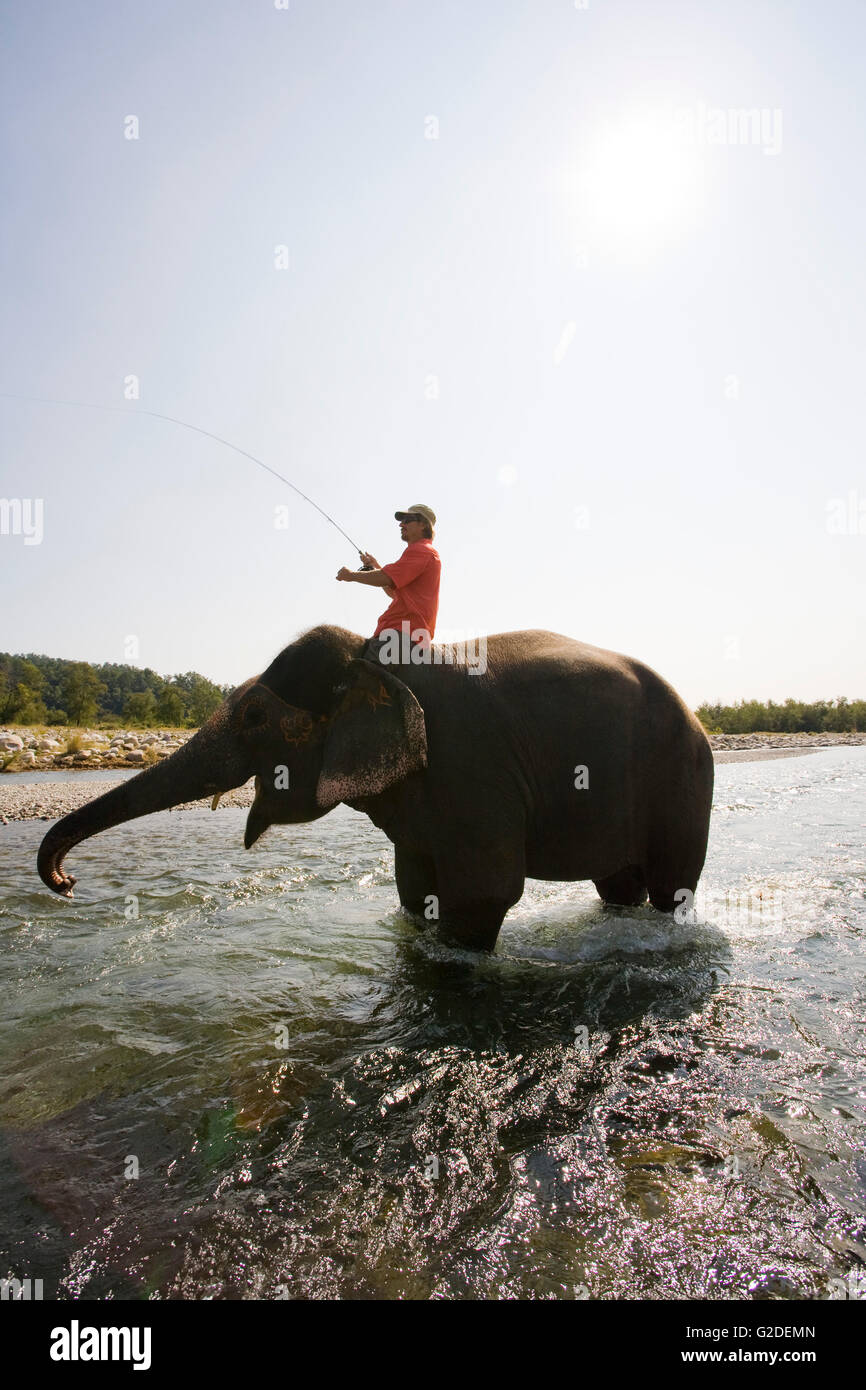 Man Fishing From Atop an Elephant in River Stock Photo - Alamy