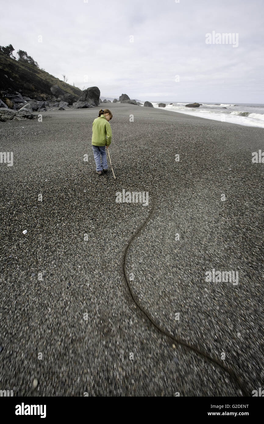 Dragging Stick High Resolution Stock Photography and Images - Alamy