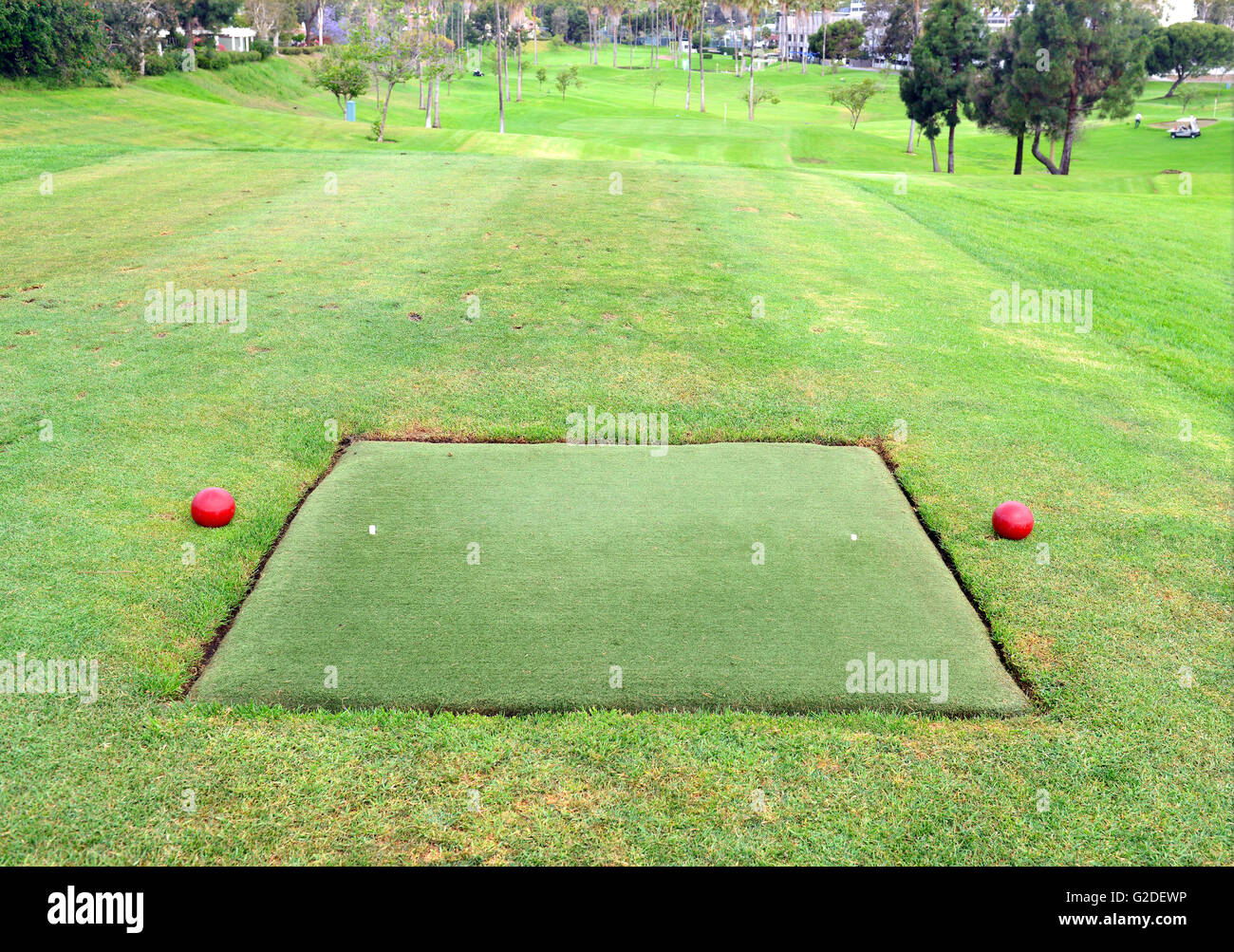 Green grass and fairway on golf course Stock Photo - Alamy