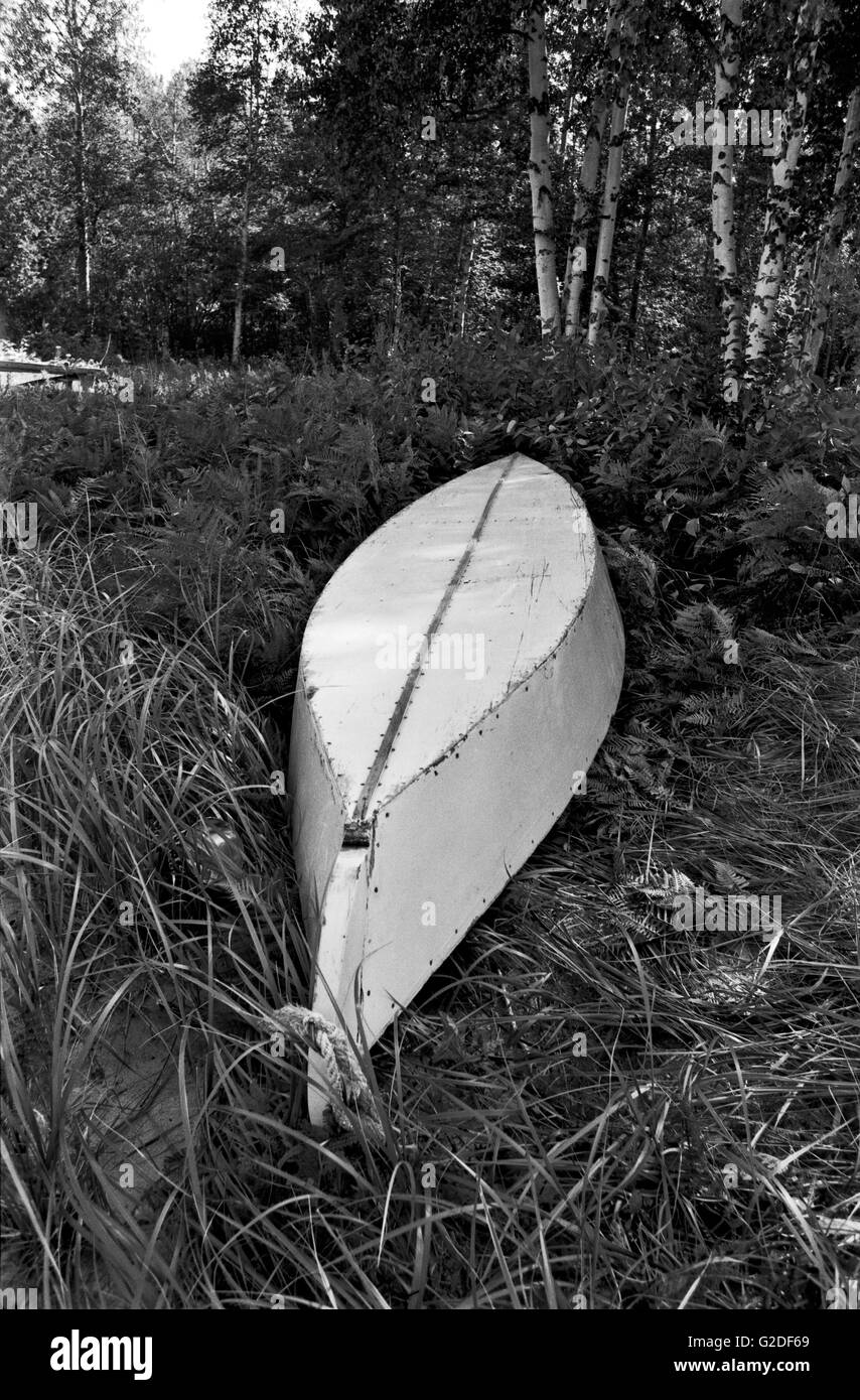 Overturned Boat in Grass With Birch Trees Stock Photo - Alamy