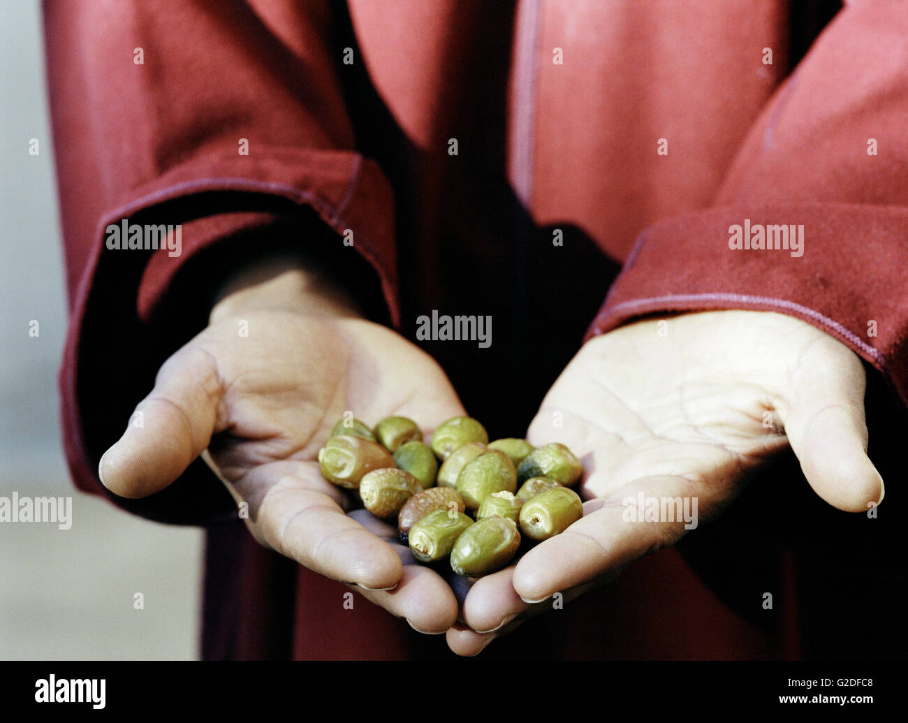 Hands Holding Dates Stock Photo - Alamy