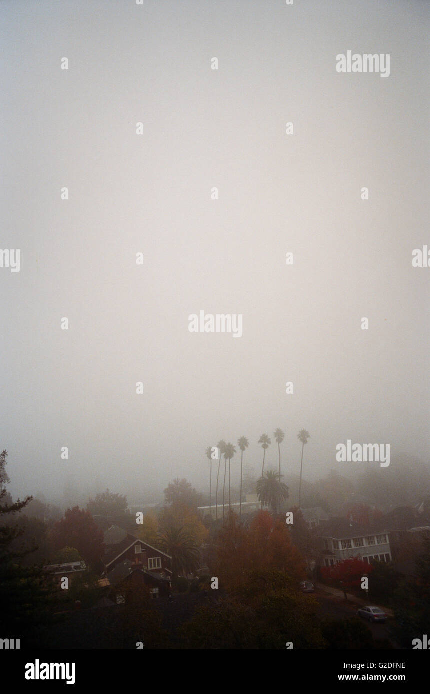 Houses and Trees in Fog Stock Photo - Alamy