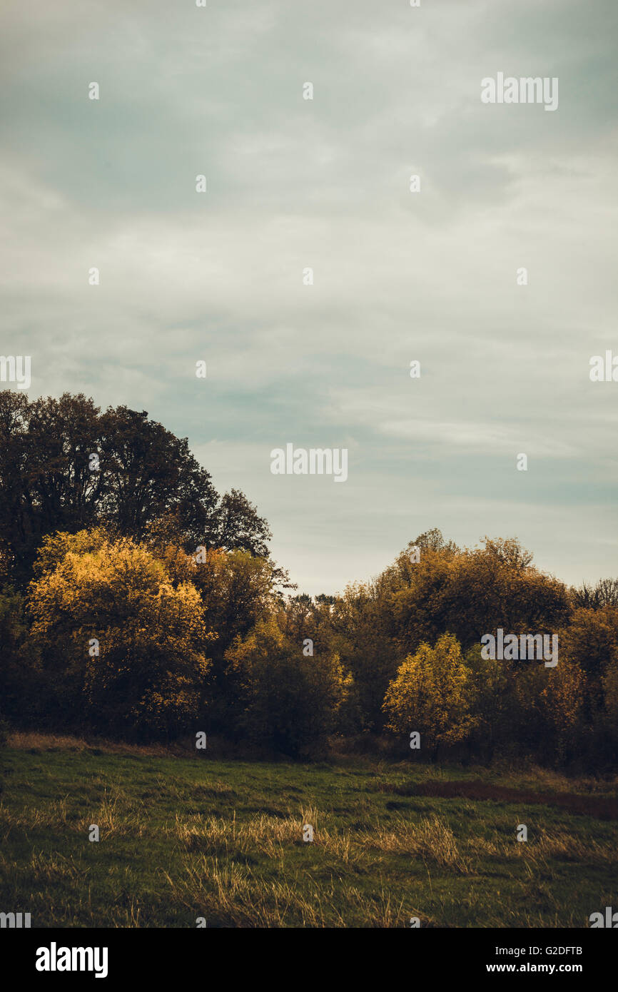 Rural autumn landscape hi-res stock photography and images - Alamy