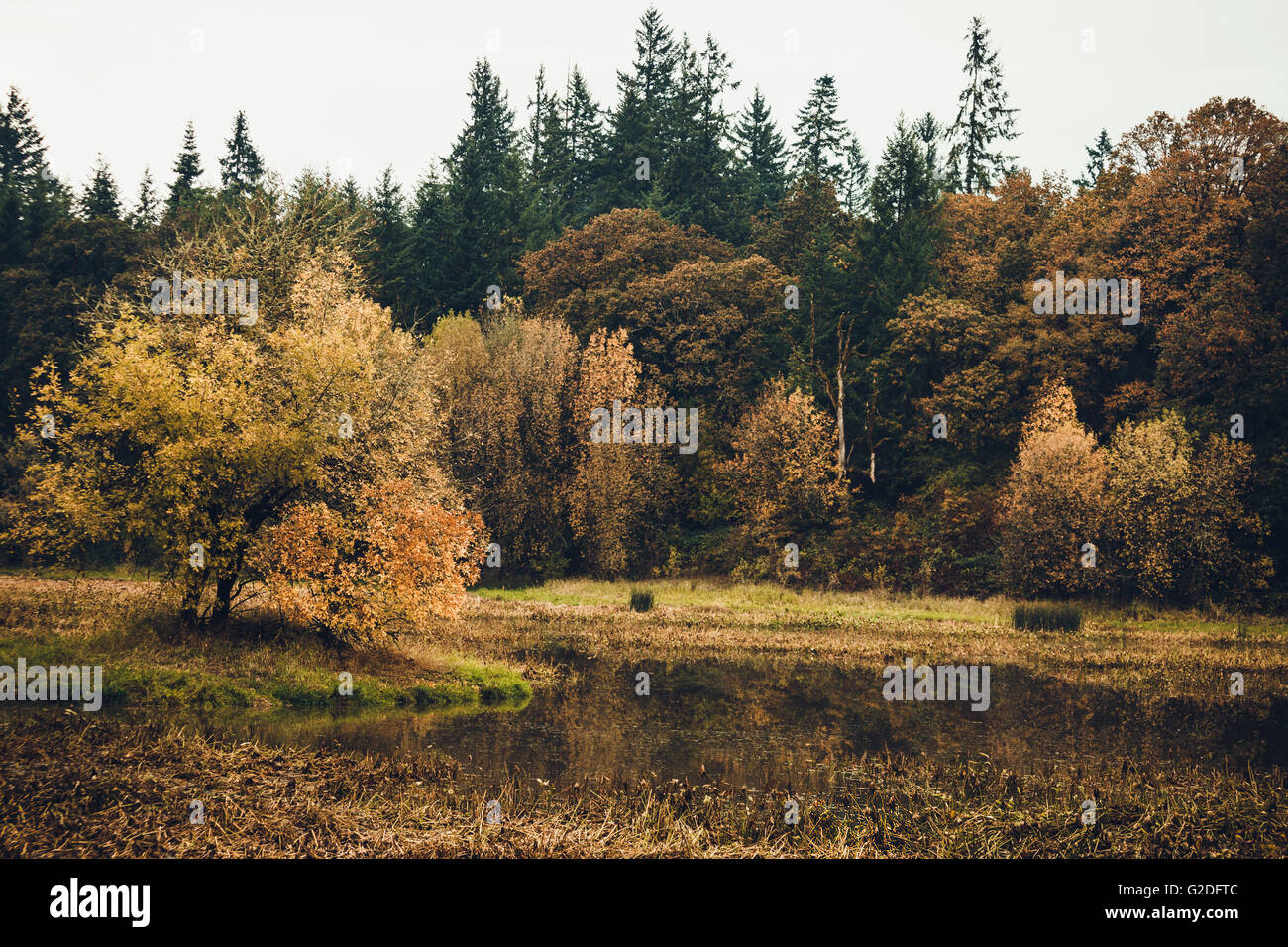Rural autumn landscape hi-res stock photography and images - Alamy