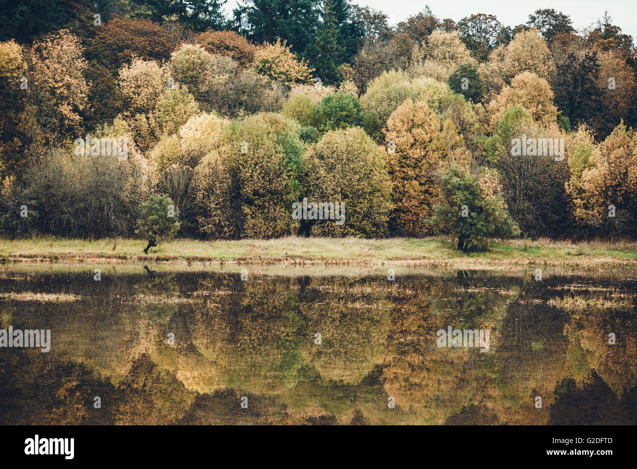 Rural autumn landscape hi-res stock photography and images - Alamy