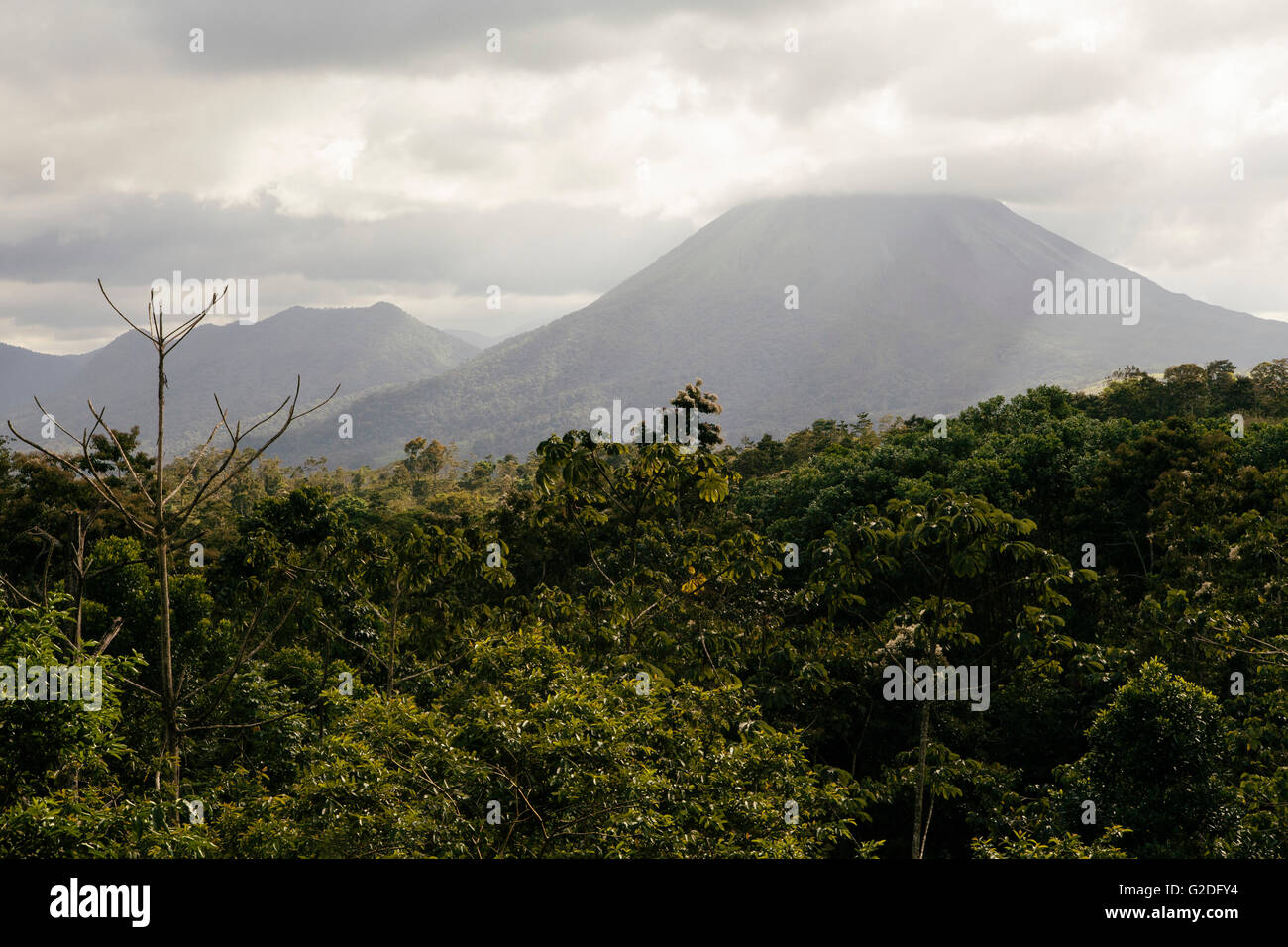 Volcano and Jungle with Cloudy Sky Stock Photo - Alamy
