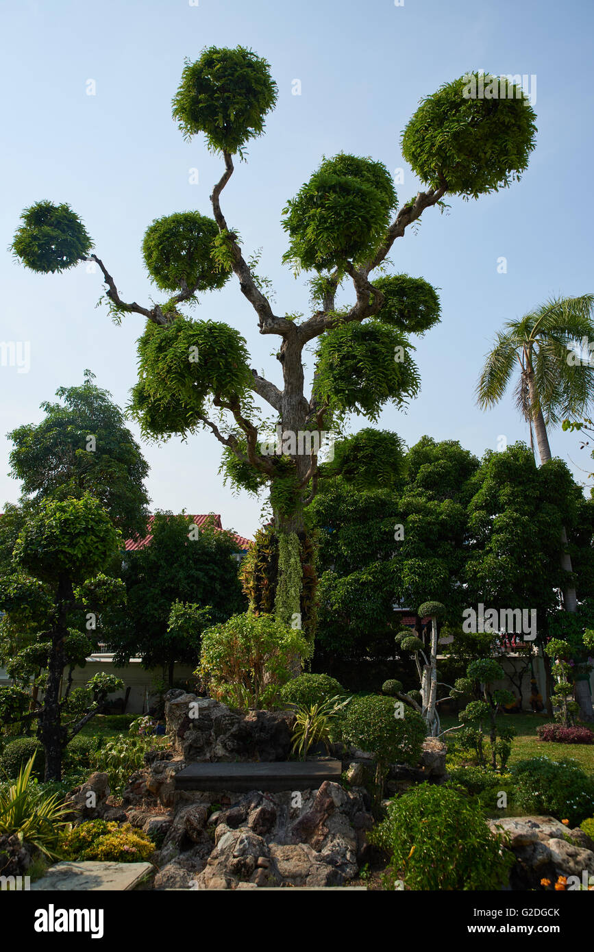Garden tree hi-res stock photography and images - Alamy