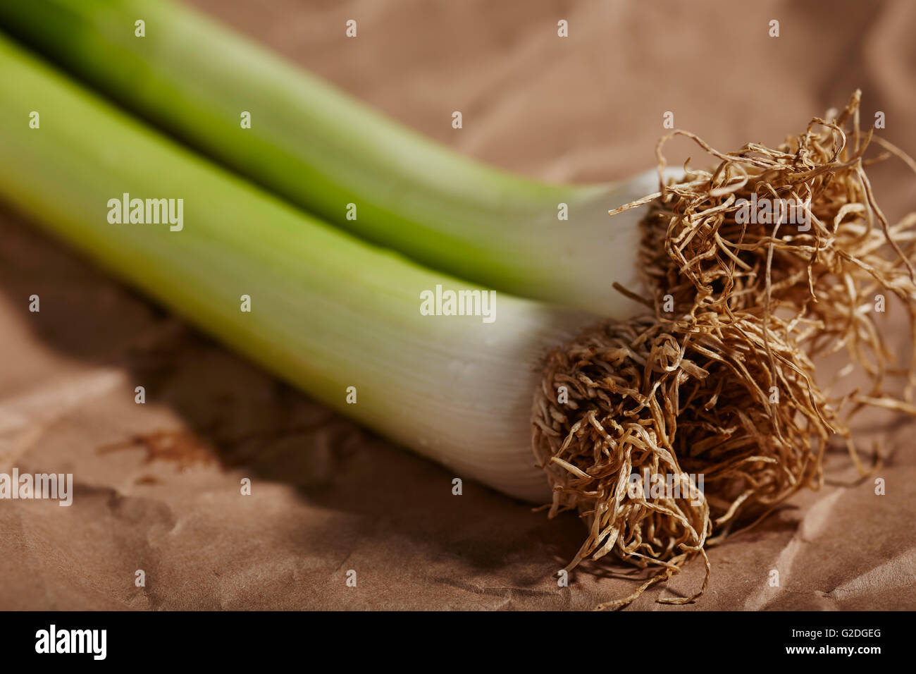 whole, fresh leeks Stock Photo - Alamy