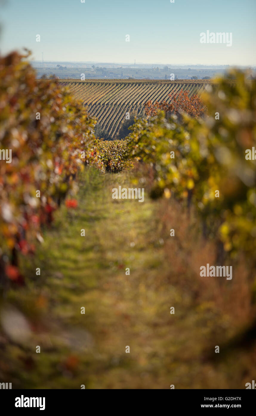 The haardt hi-res stock photography and images - Alamy