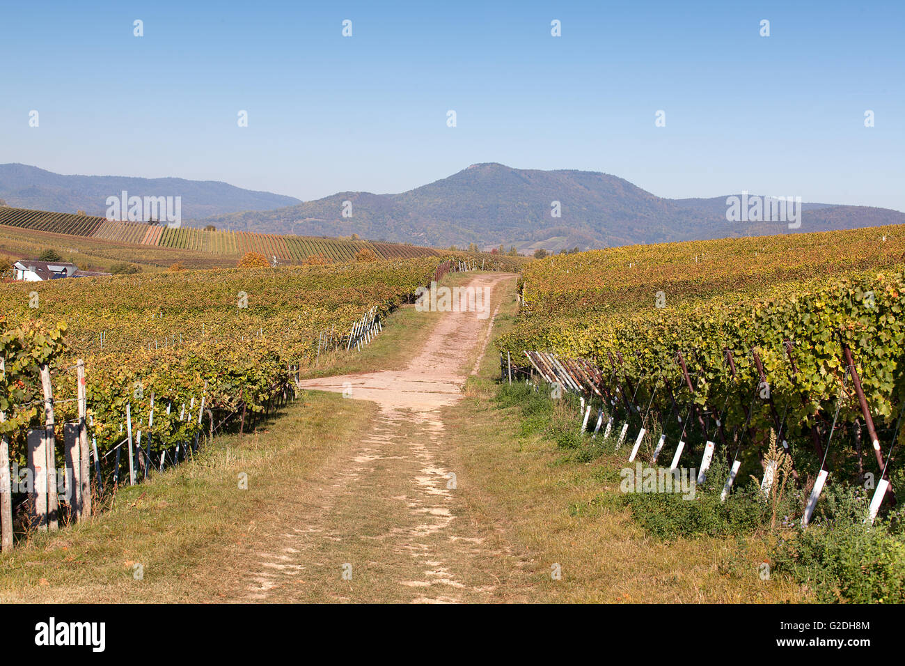 The haardt hi-res stock photography and images - Alamy