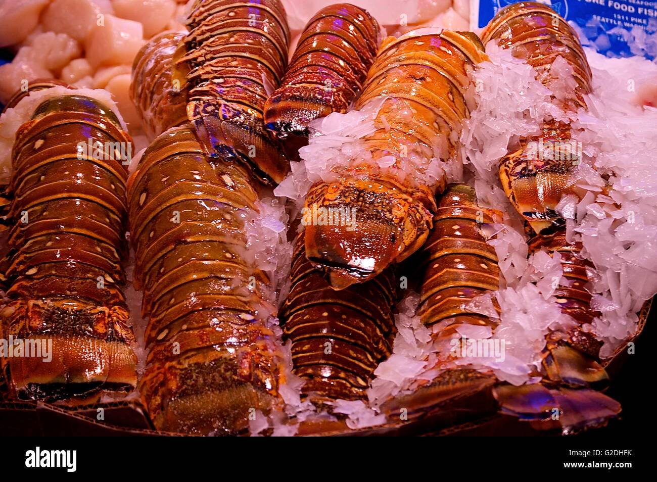 Lobster fish hi-res stock photography and images - Alamy