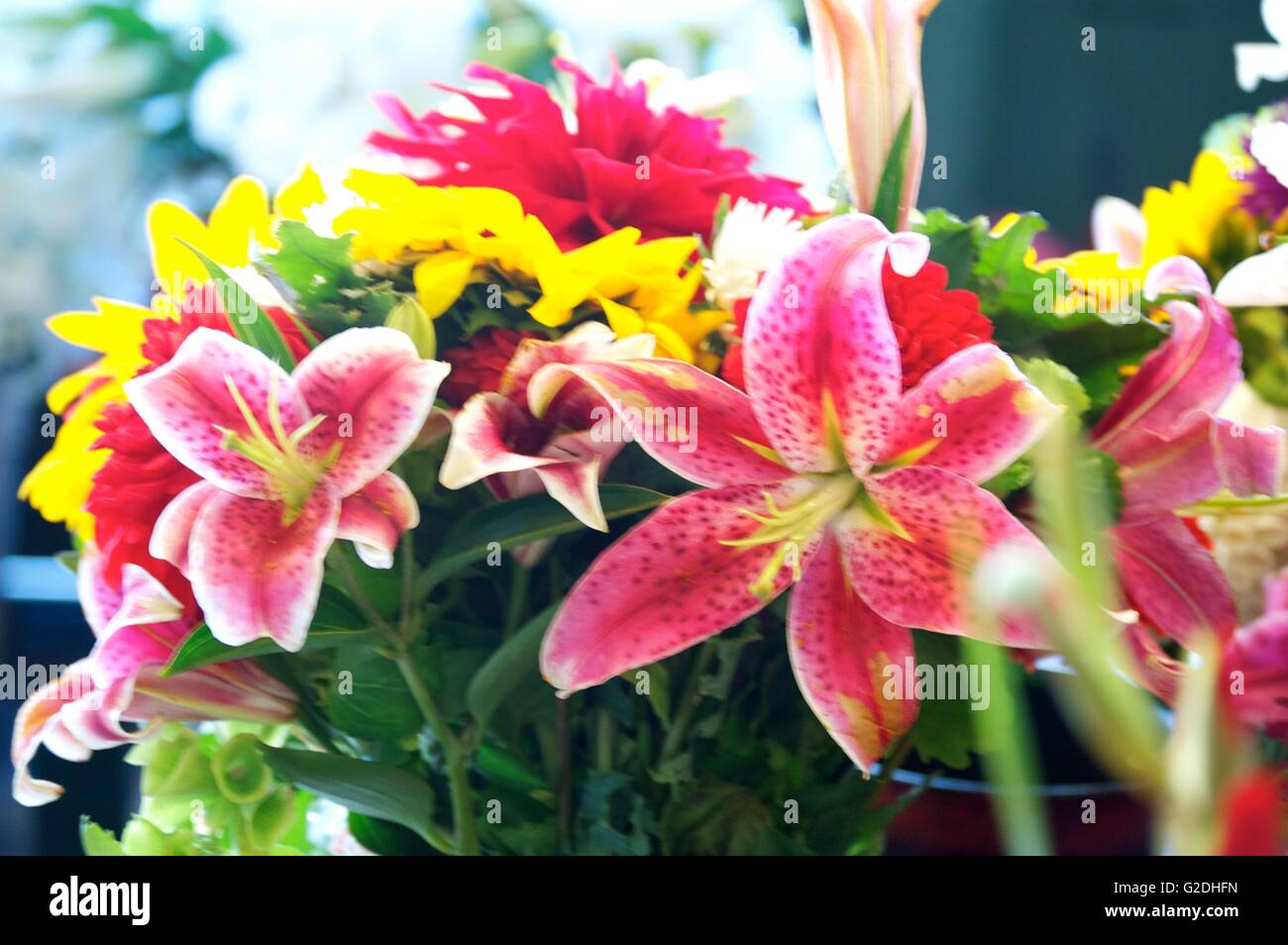 Farmers delight hi-res stock photography and images - Alamy