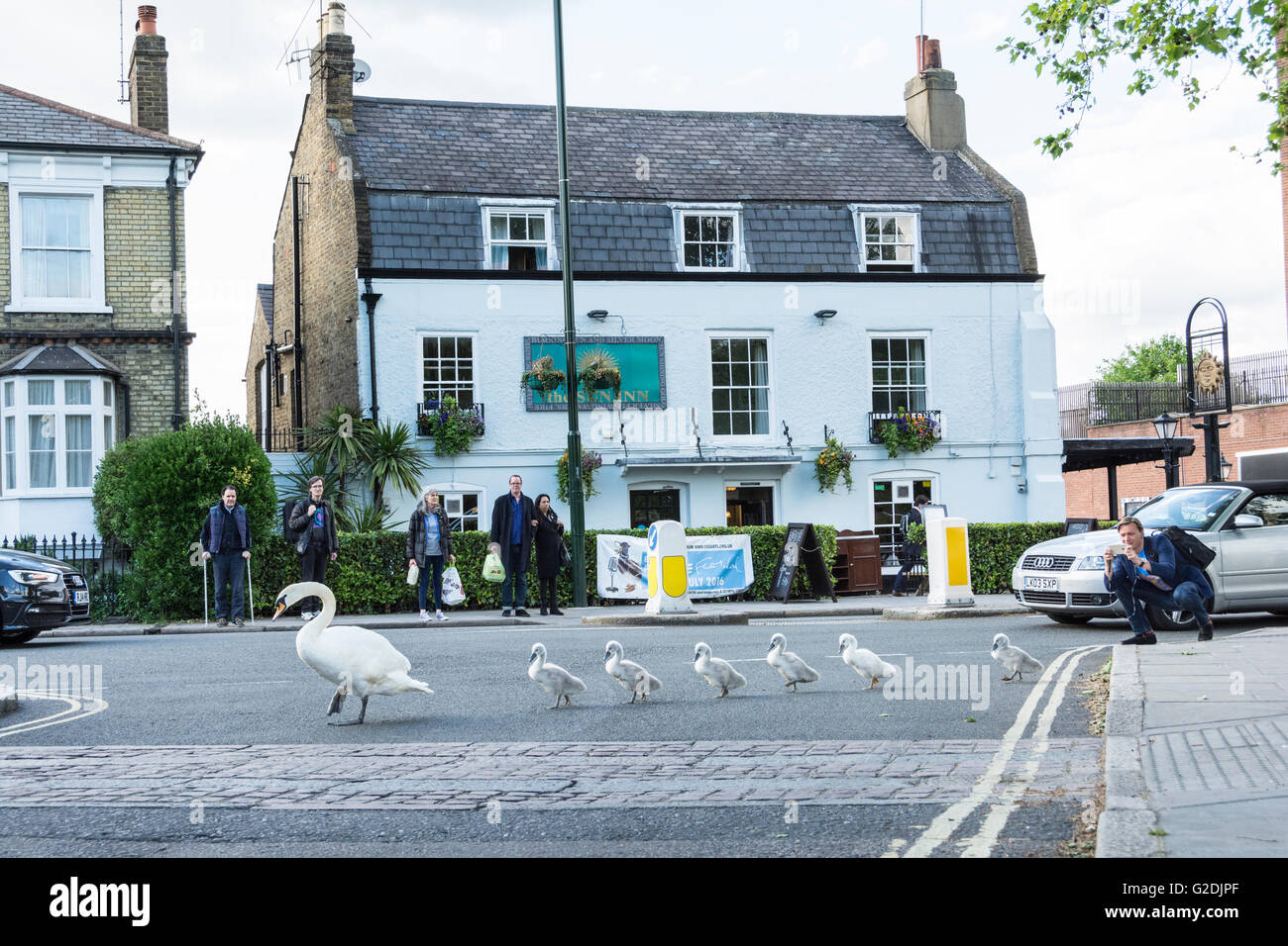 The sun inn pub barnes hi-res stock photography and images - Alamy