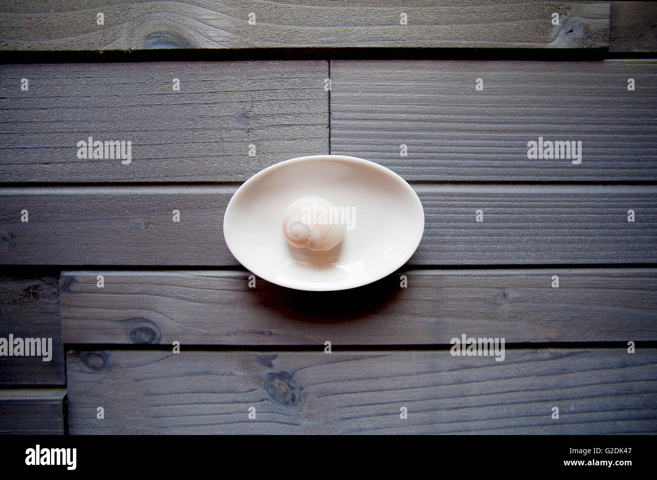 Top view of snail on white hi-res stock photography and images - Alamy