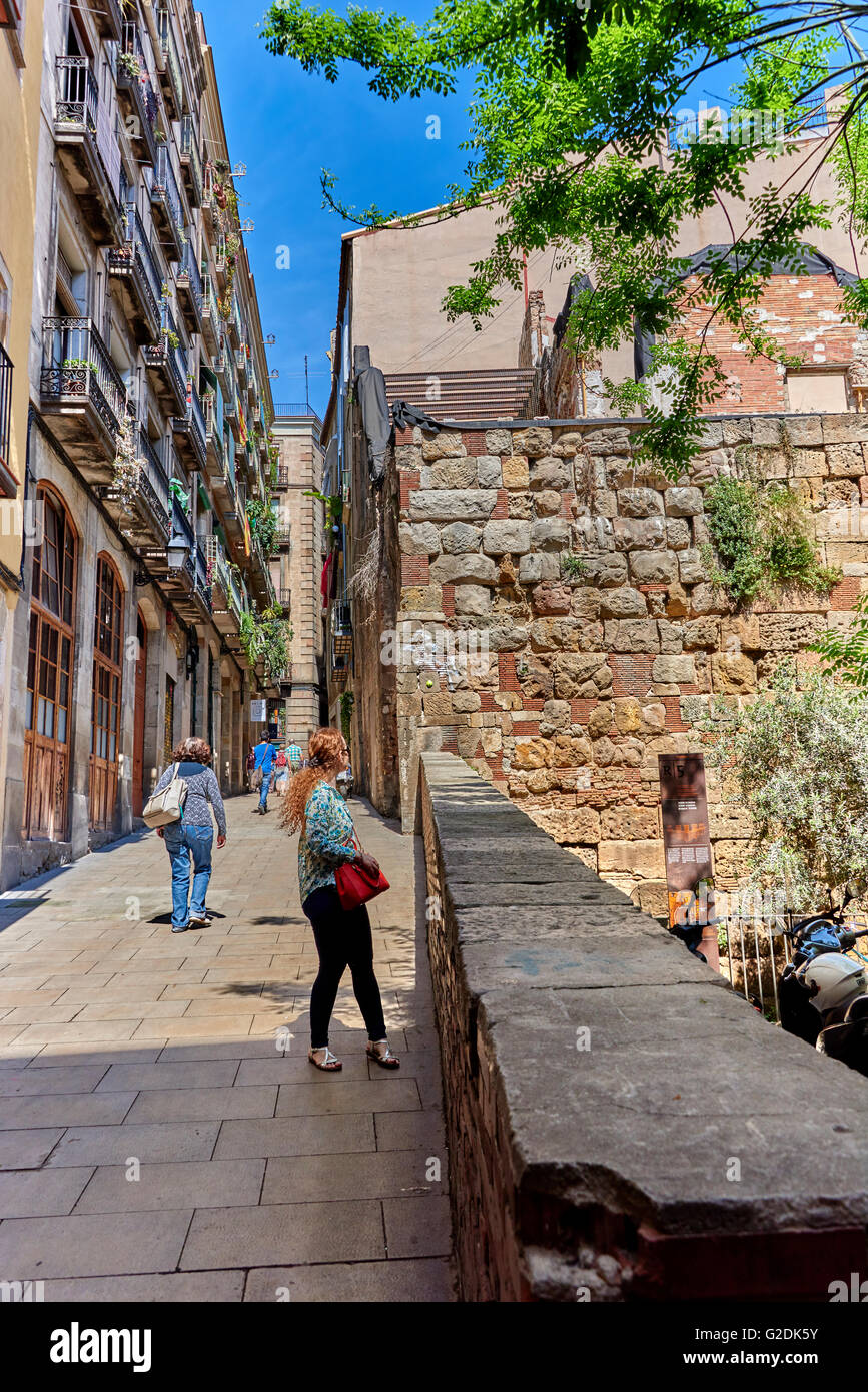 Barcelona is the capital city of the autonomous community of Catalonia ...