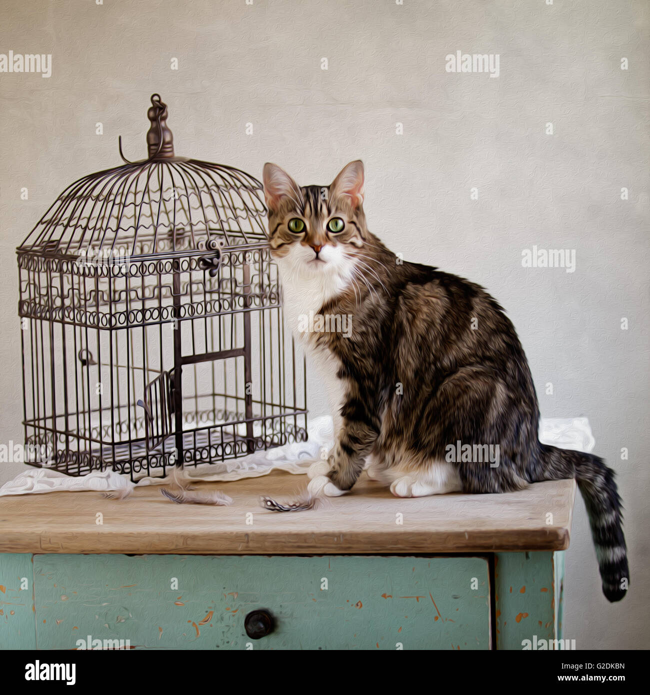 Cat looking for bird near cage with feathers on table Stock Photo - Alamy