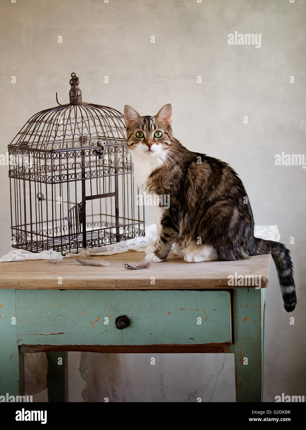 Cat looking for bird near cage with feathers on table Stock Photo - Alamy