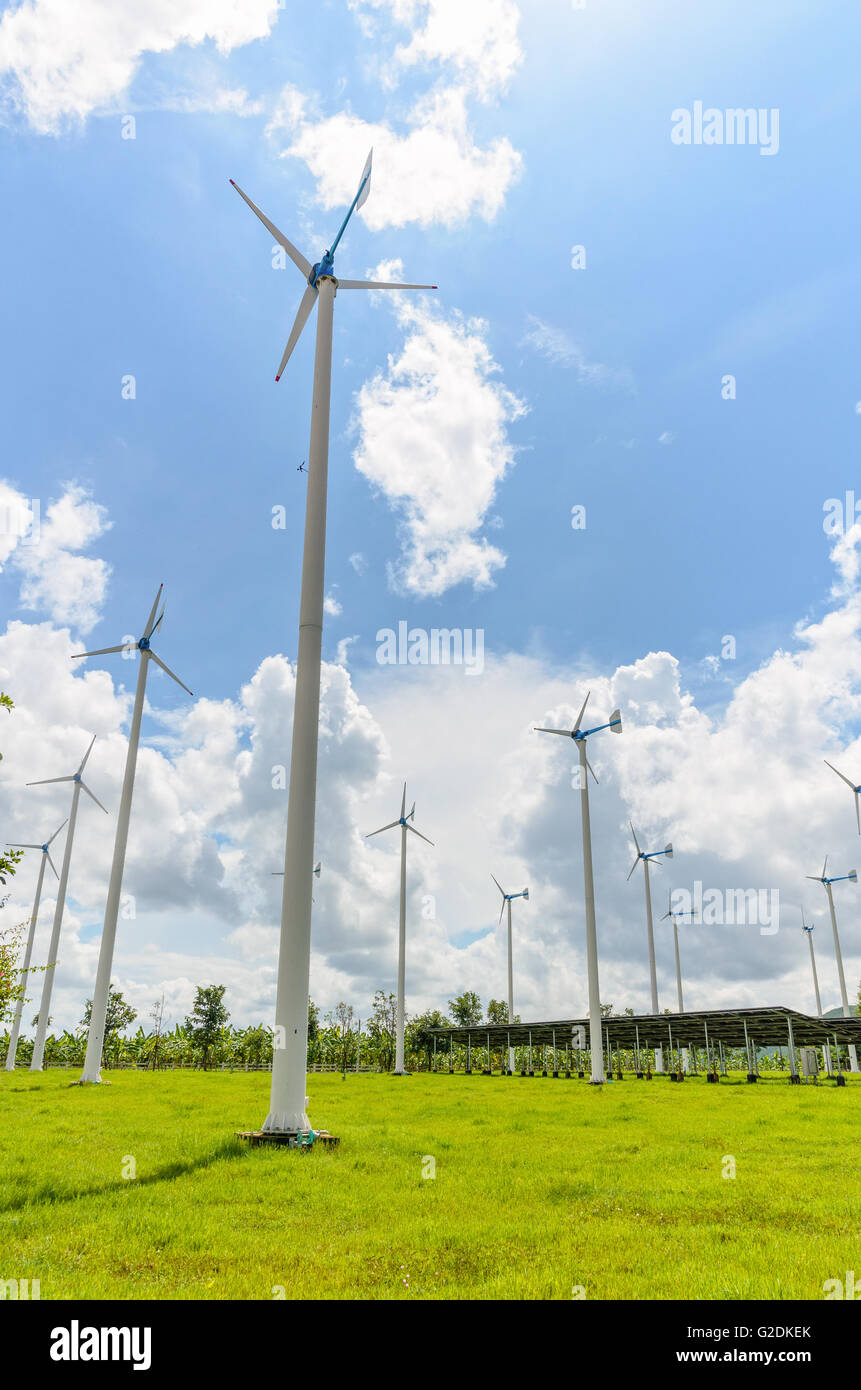 Group wind turbine generator of clean energy under the blue sky in ...