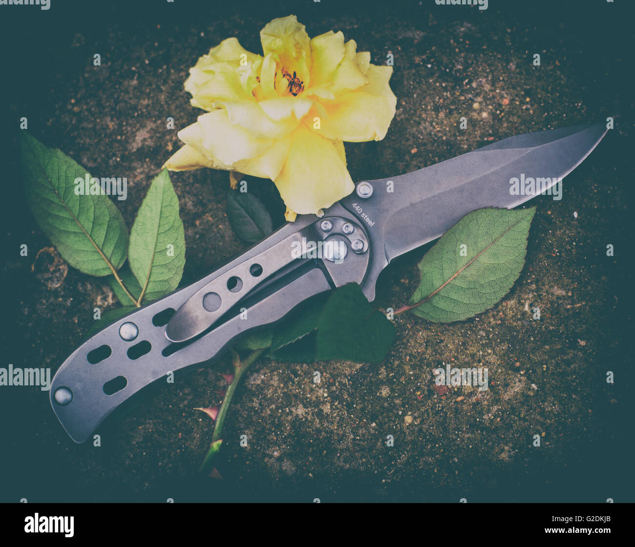 Knife weapon hi-res stock photography and images - Alamy