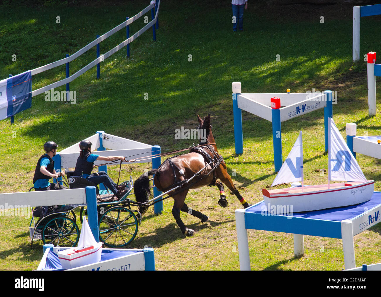 Terrain course race of the international horse carriage coach racing in ...