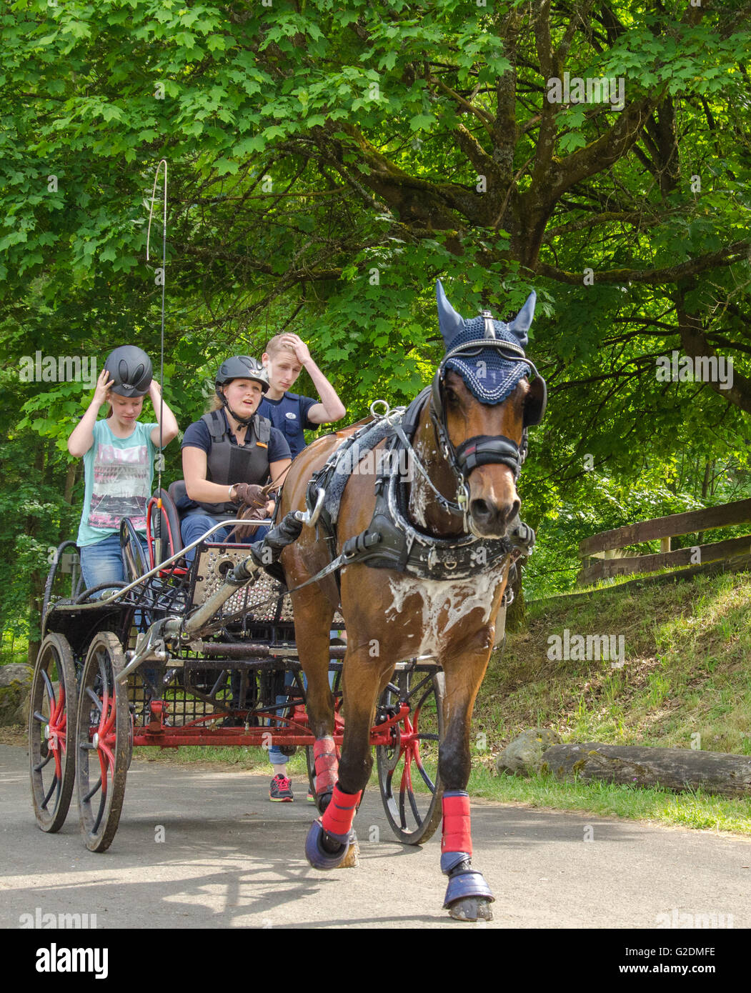Four horse coach hi-res stock photography and images - Alamy