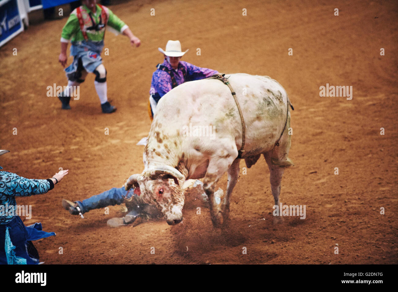 Bull riding hi-res stock photography and images - Alamy
