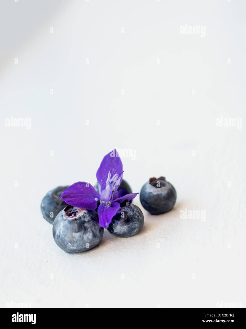 Cluster small round objects hi-res stock photography and images - Alamy