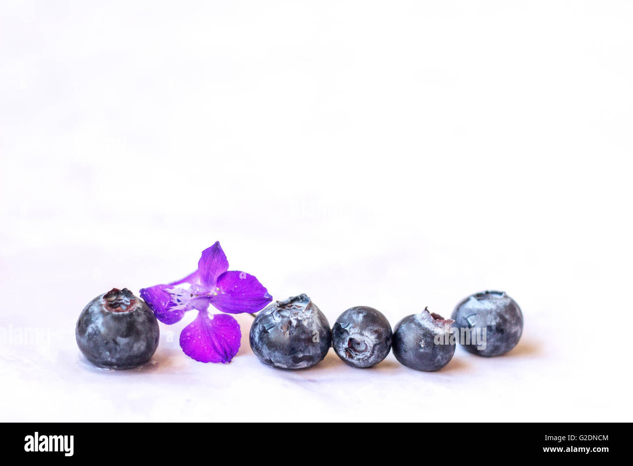 Purple blueberries hi-res stock photography and images - Alamy