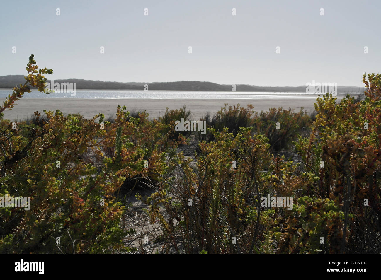 Remote beach in South Australia - Australia Stock Photo - Alamy
