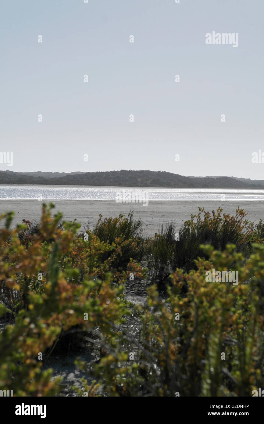 Remote beach in South Australia - Australia Stock Photo - Alamy