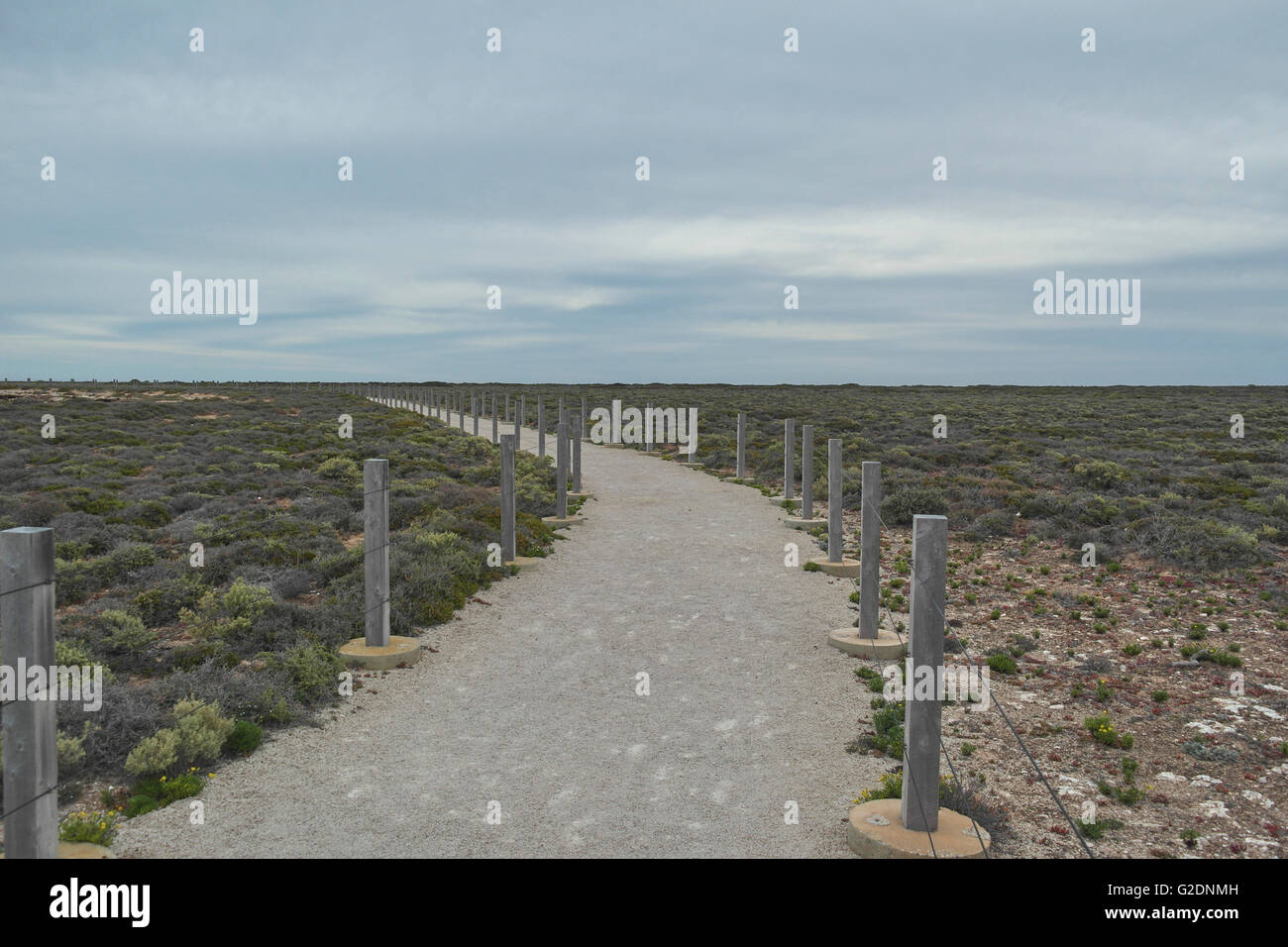 Nullarbor plains in Western Australia - Australia Stock Photo - Alamy