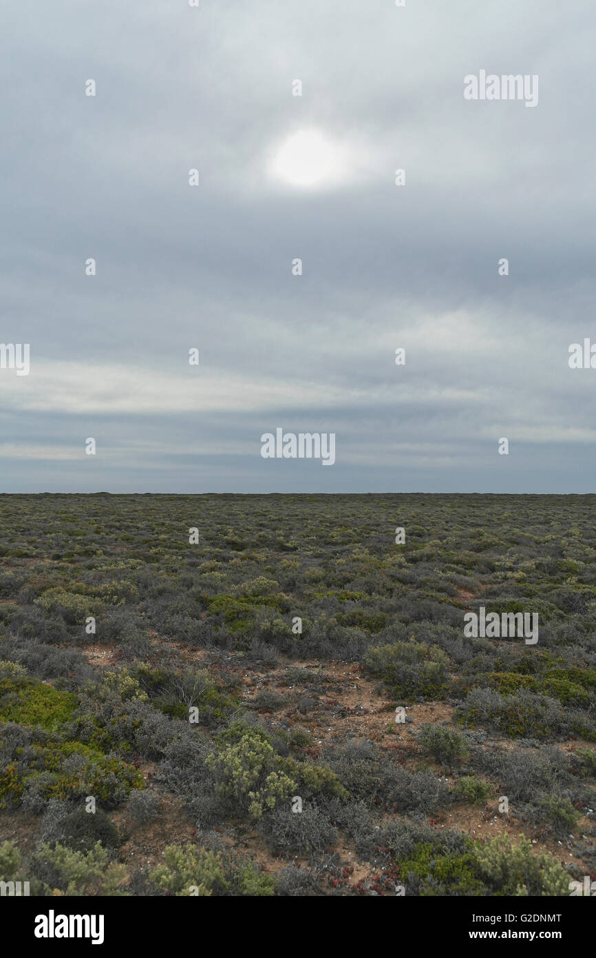 Nullarbor plains in Western Australia - Australia Stock Photo - Alamy