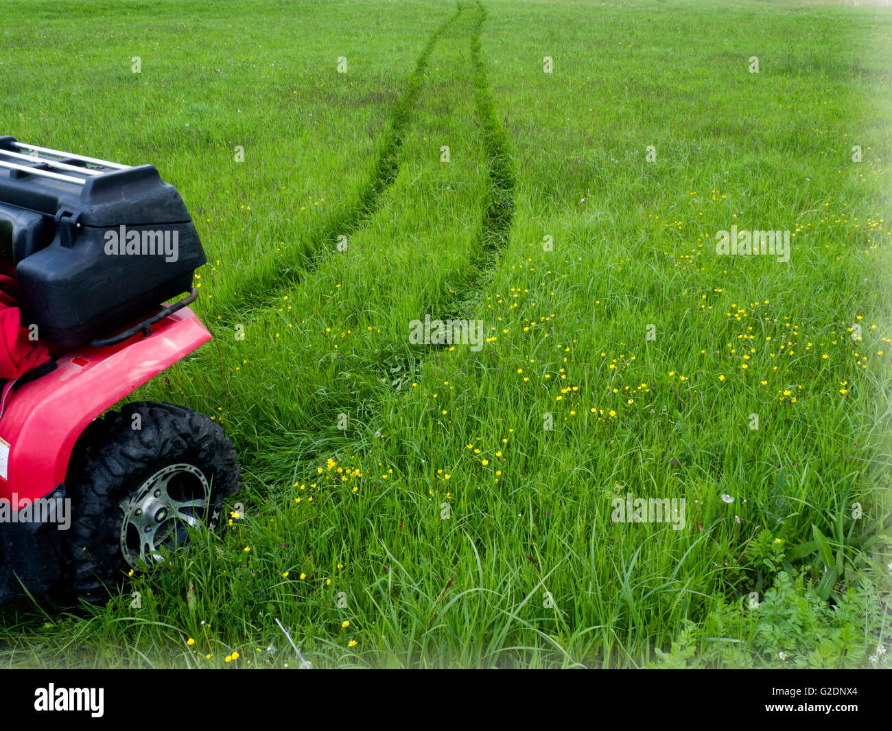atv tracks in the grass Stock Photo - Alamy