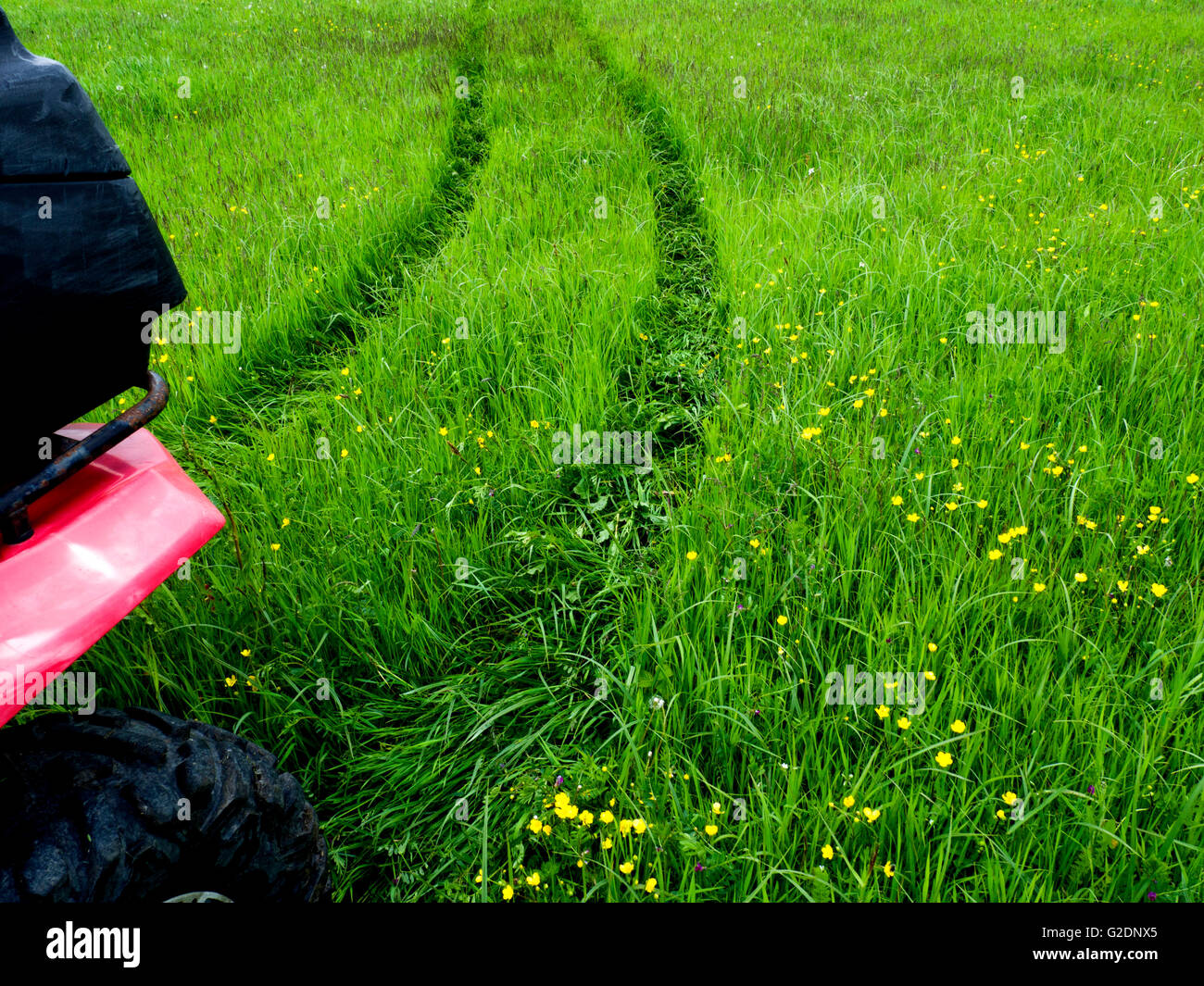 atv tracks in the grass Stock Photo - Alamy