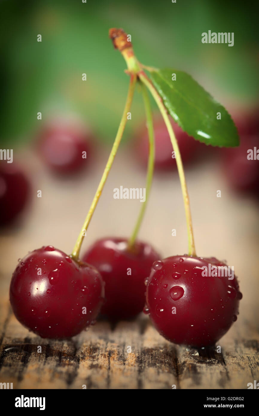 Ripe organic cherries Stock Photo - Alamy