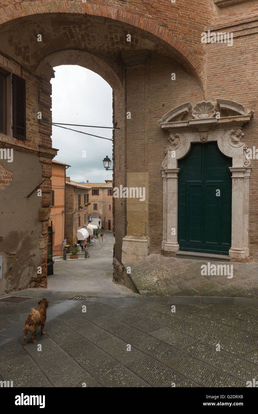 A dog keeps watch in the medieval historical center of Panicale, Umbria ...
