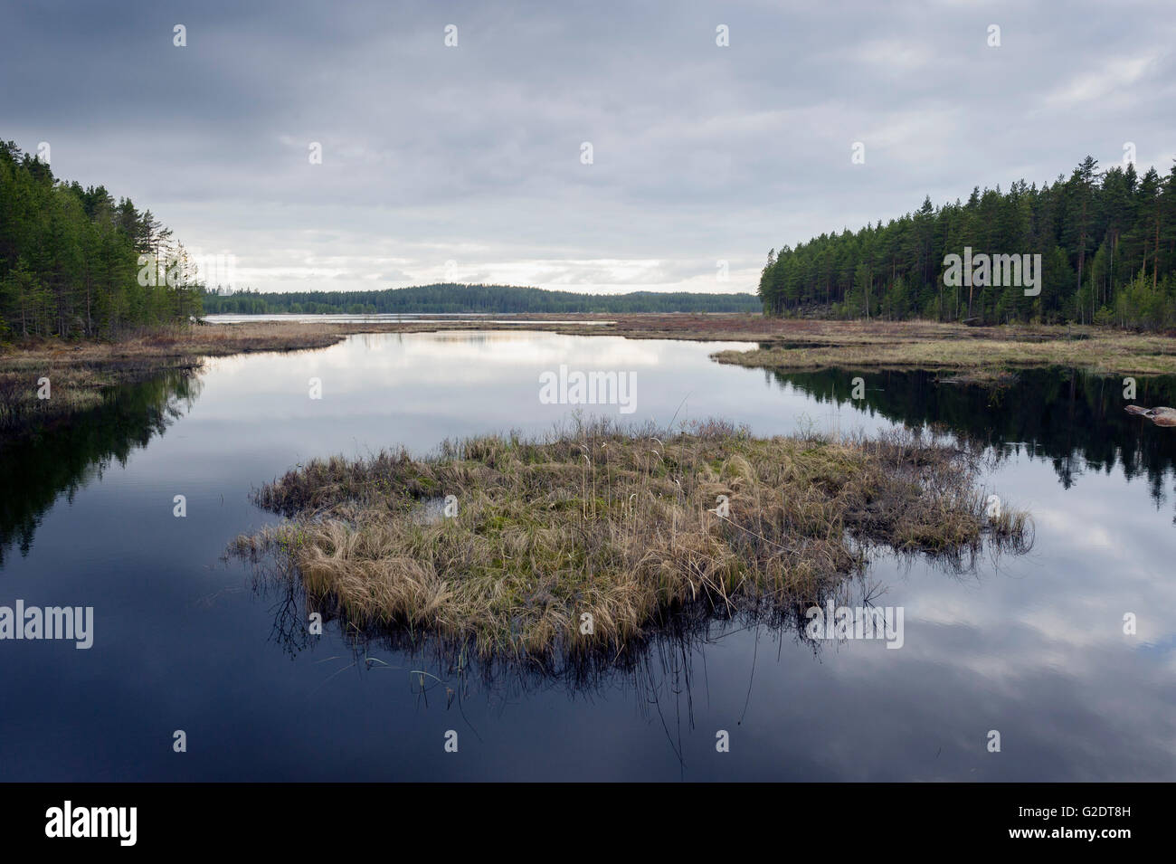 Mire loch hi-res stock photography and images - Alamy