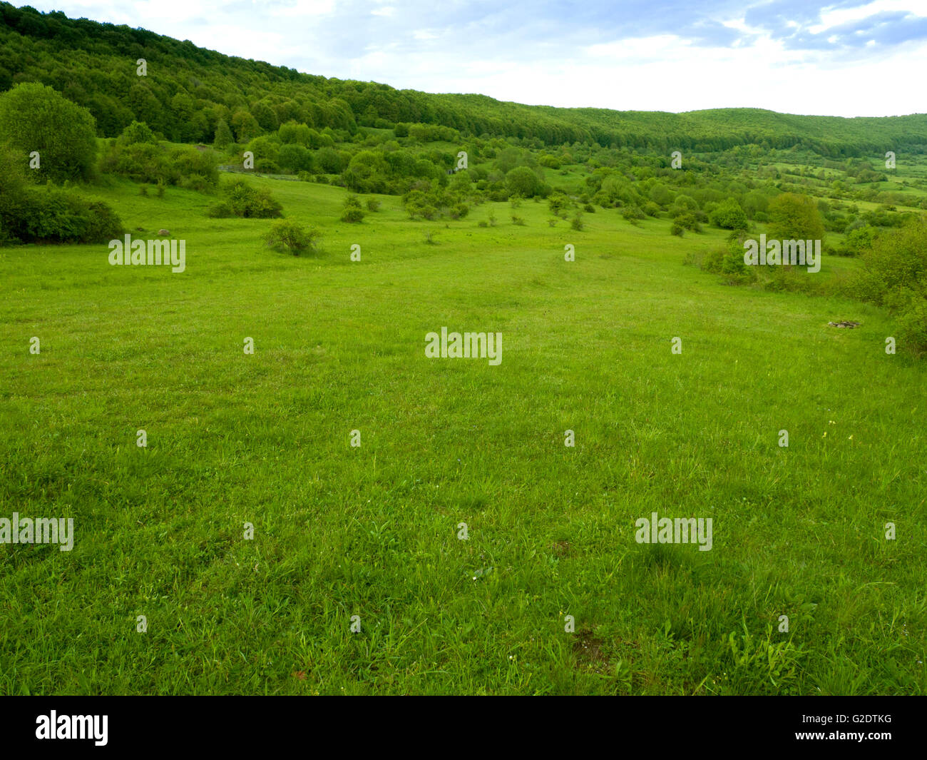 Hill trees grass hi-res stock photography and images - Alamy